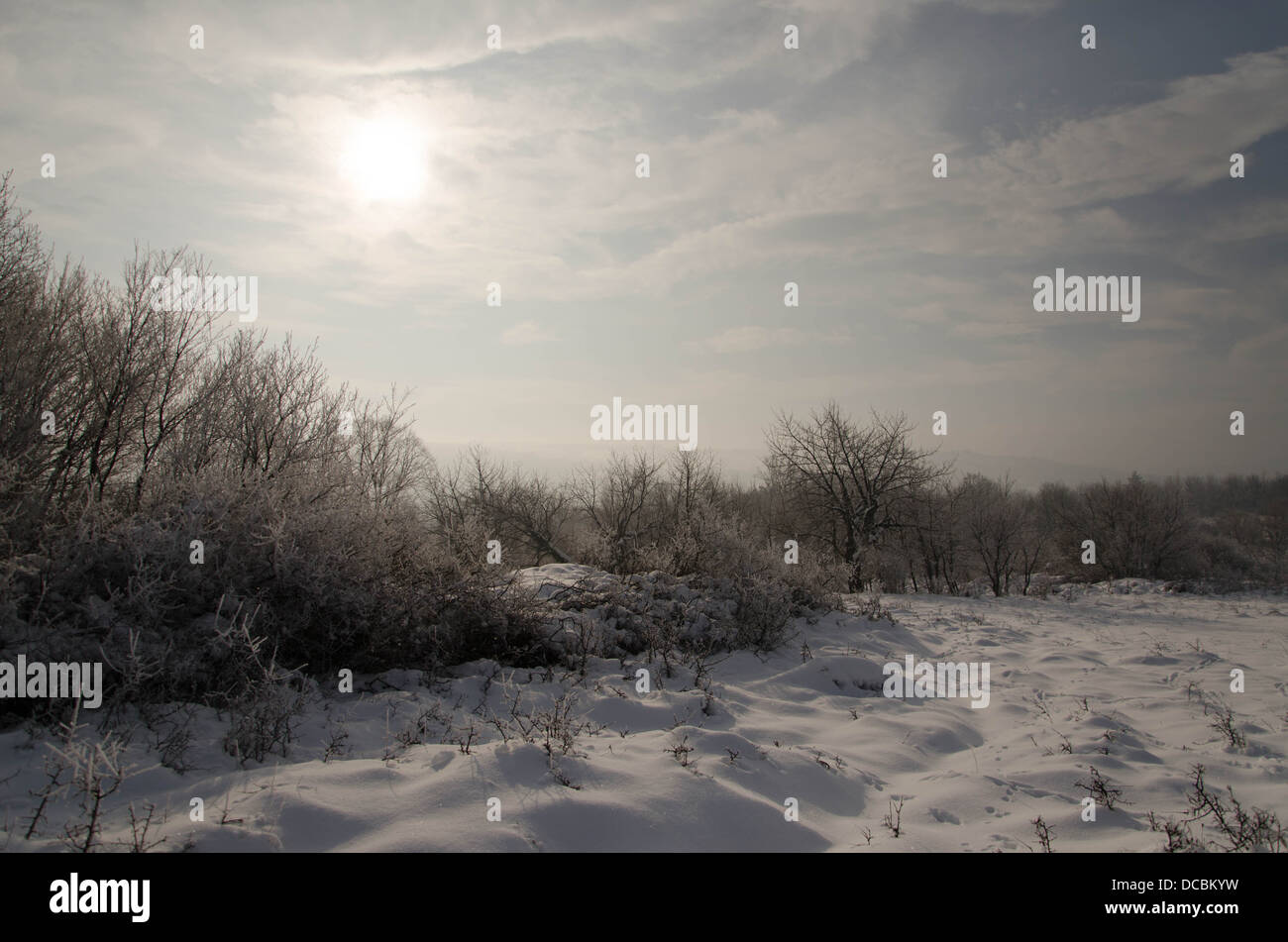 winter white landscape Stock Photo - Alamy