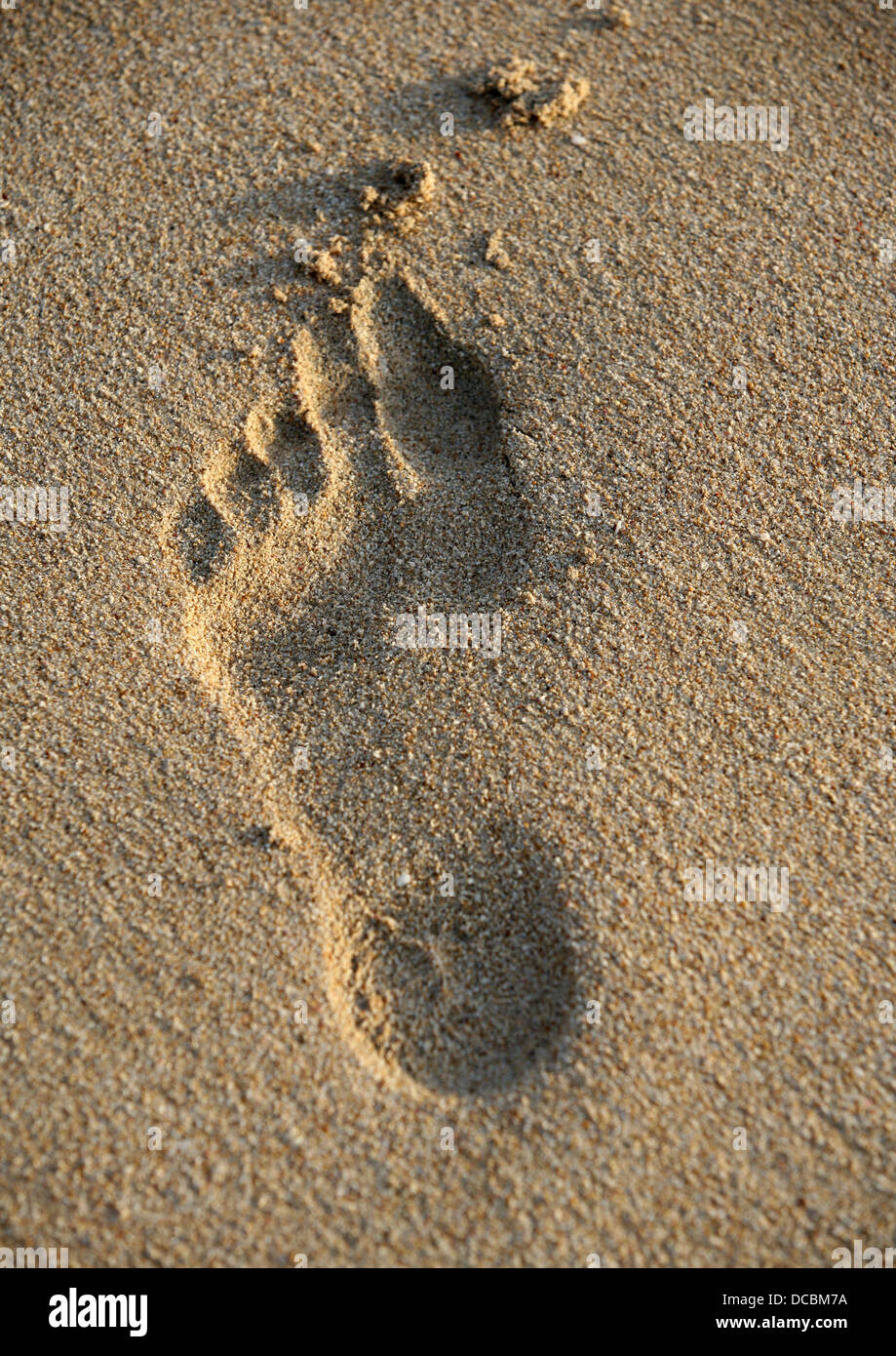 Leg prints hi-res stock photography and images - Alamy