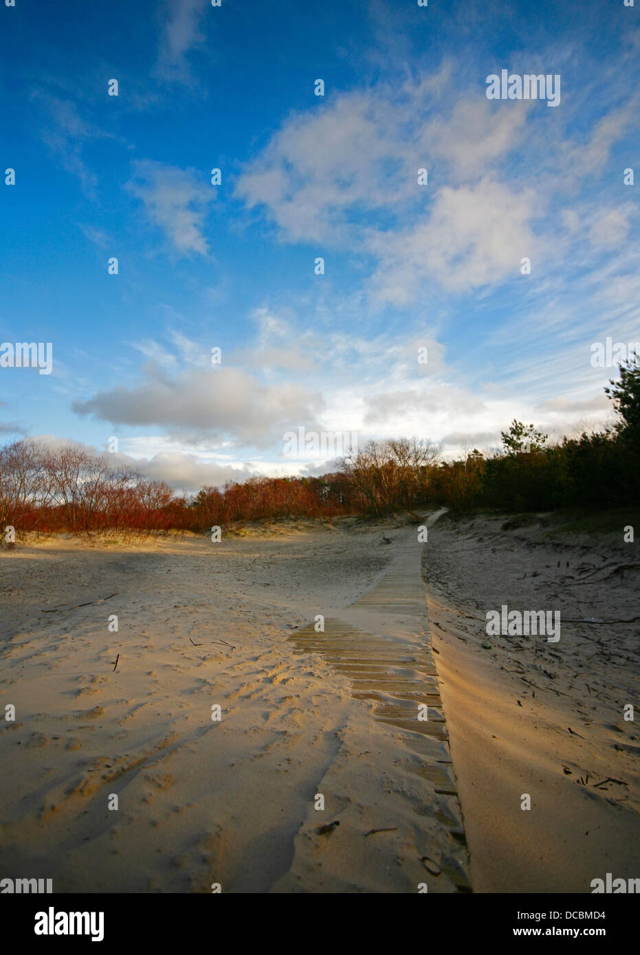 Footpath on sand Stock Photo - Alamy
