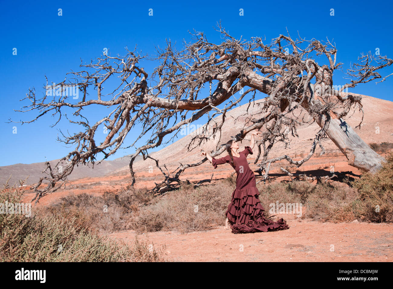 flamenco and a dead tree Stock Photo - Alamy