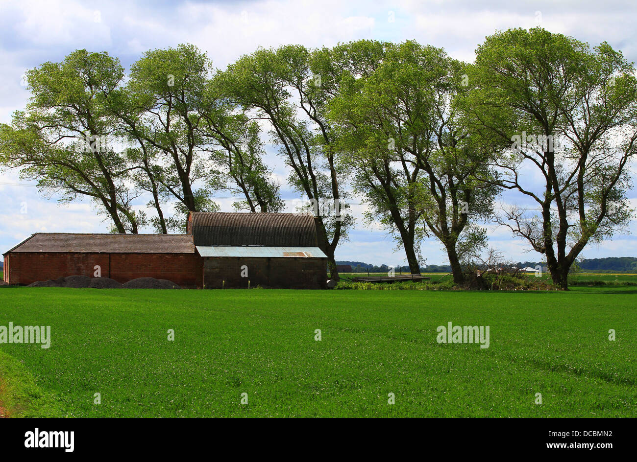 Country File setting, back to the land, springtime view across fields ...
