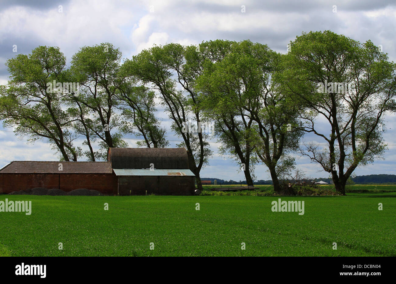Country File setting, back to the land, springtime view across fields ...