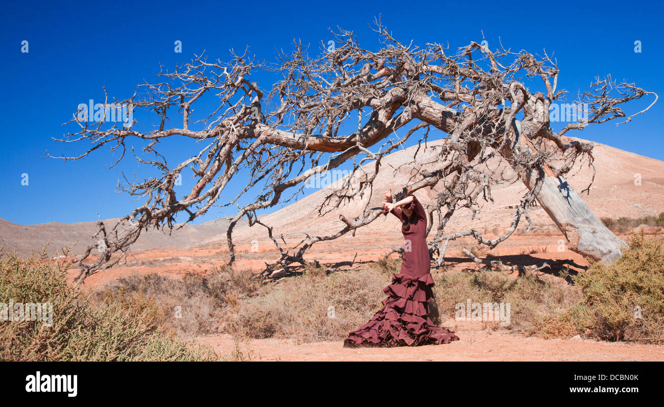 flamenco and a dead tree Stock Photo - Alamy