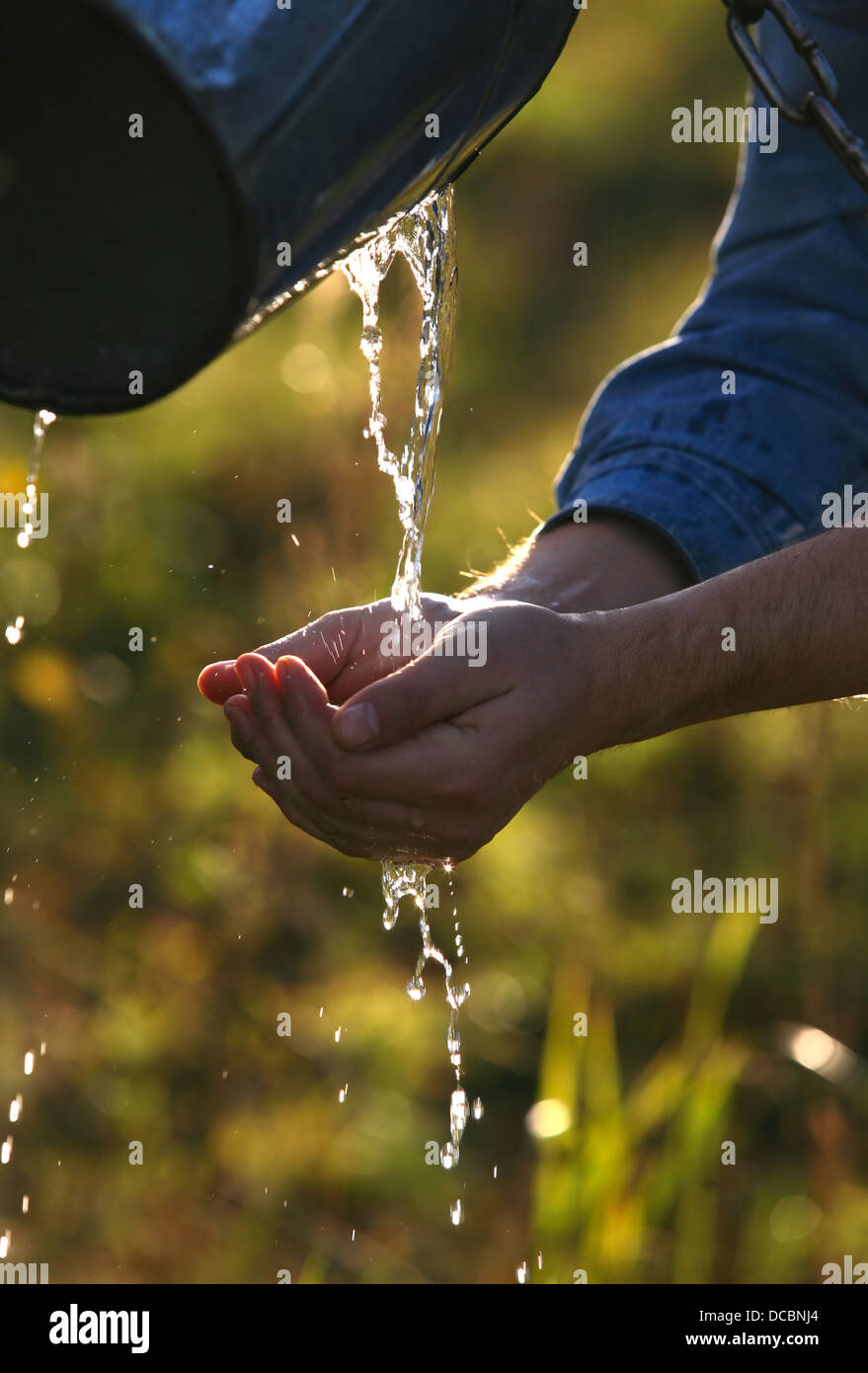 Vivifying hi-res stock photography and images - Alamy