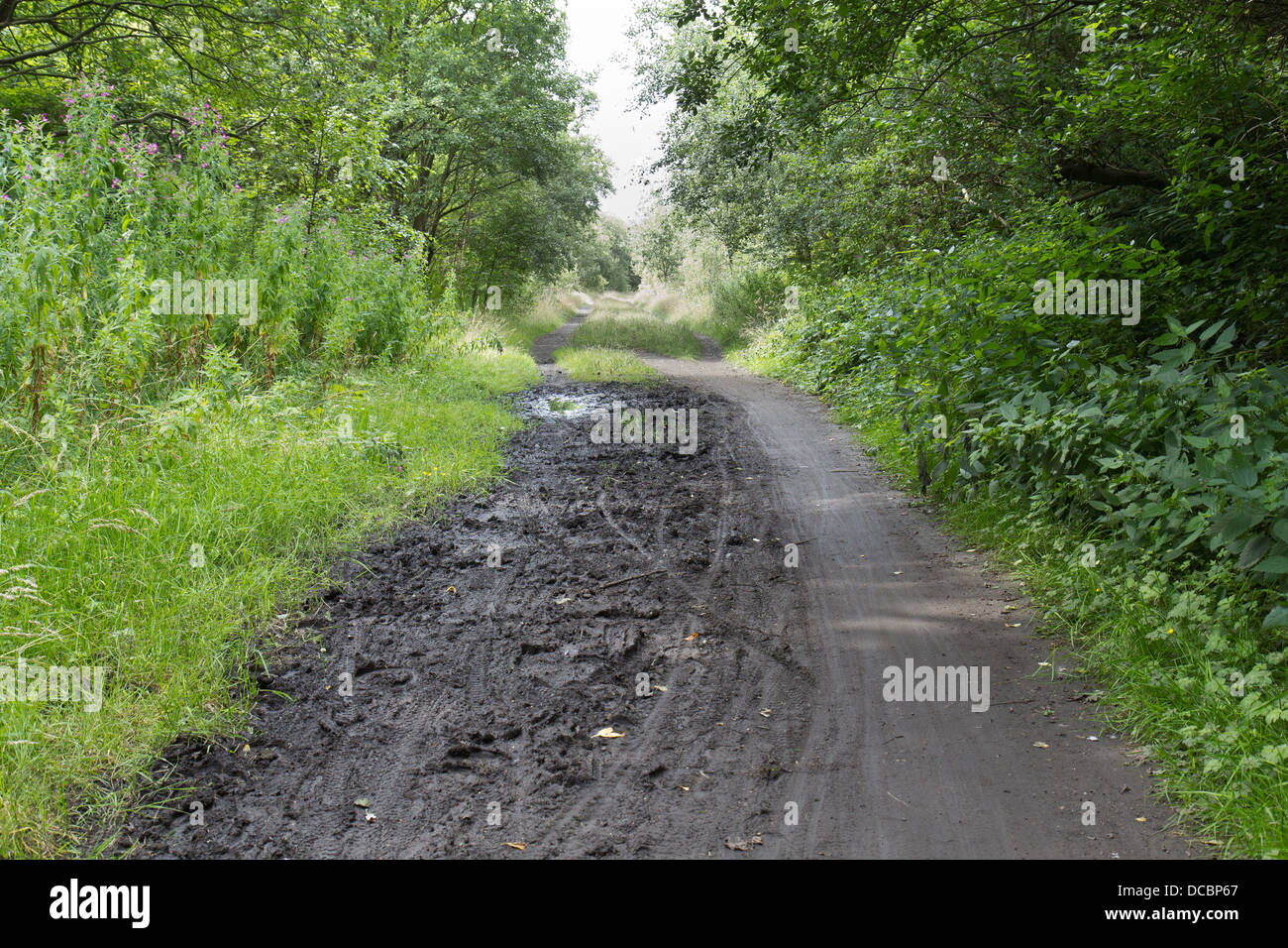 The Trans Pennine trail for cyclists, pedestrians and horse riders ...