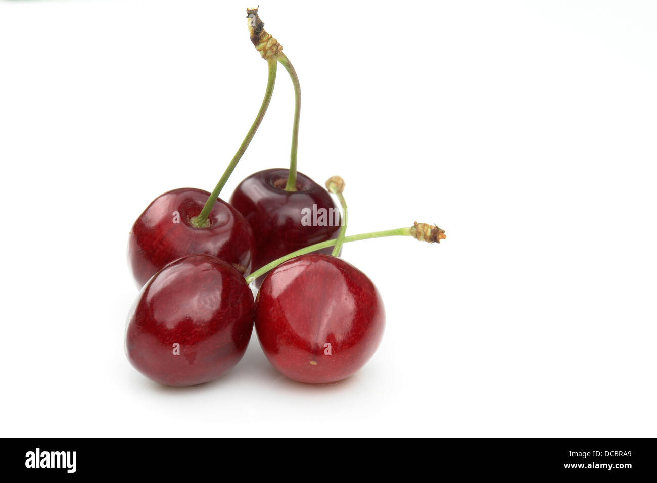 Cherries tree branch Cut Out Stock Images & Pictures - Alamy