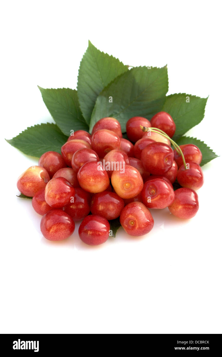 Cherries tree branch Cut Out Stock Images & Pictures - Alamy
