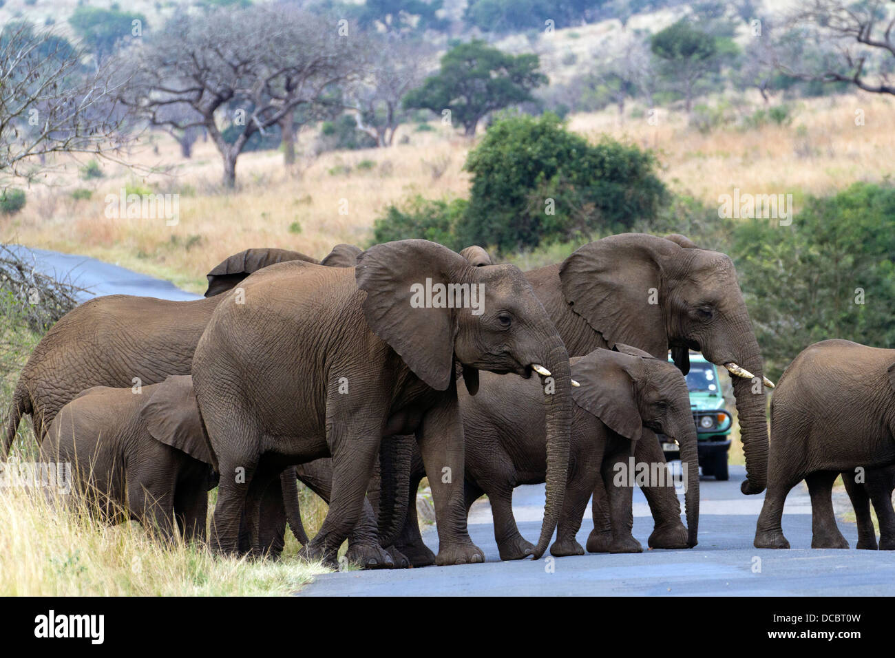 Family experience hi-res stock photography and images - Alamy
