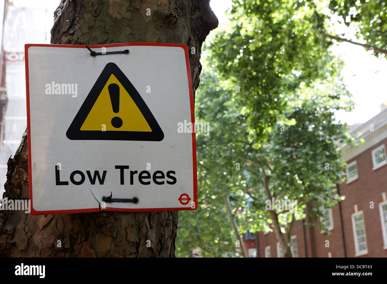 Overhanging Tree High Resolution Stock Photography and Images - Alamy