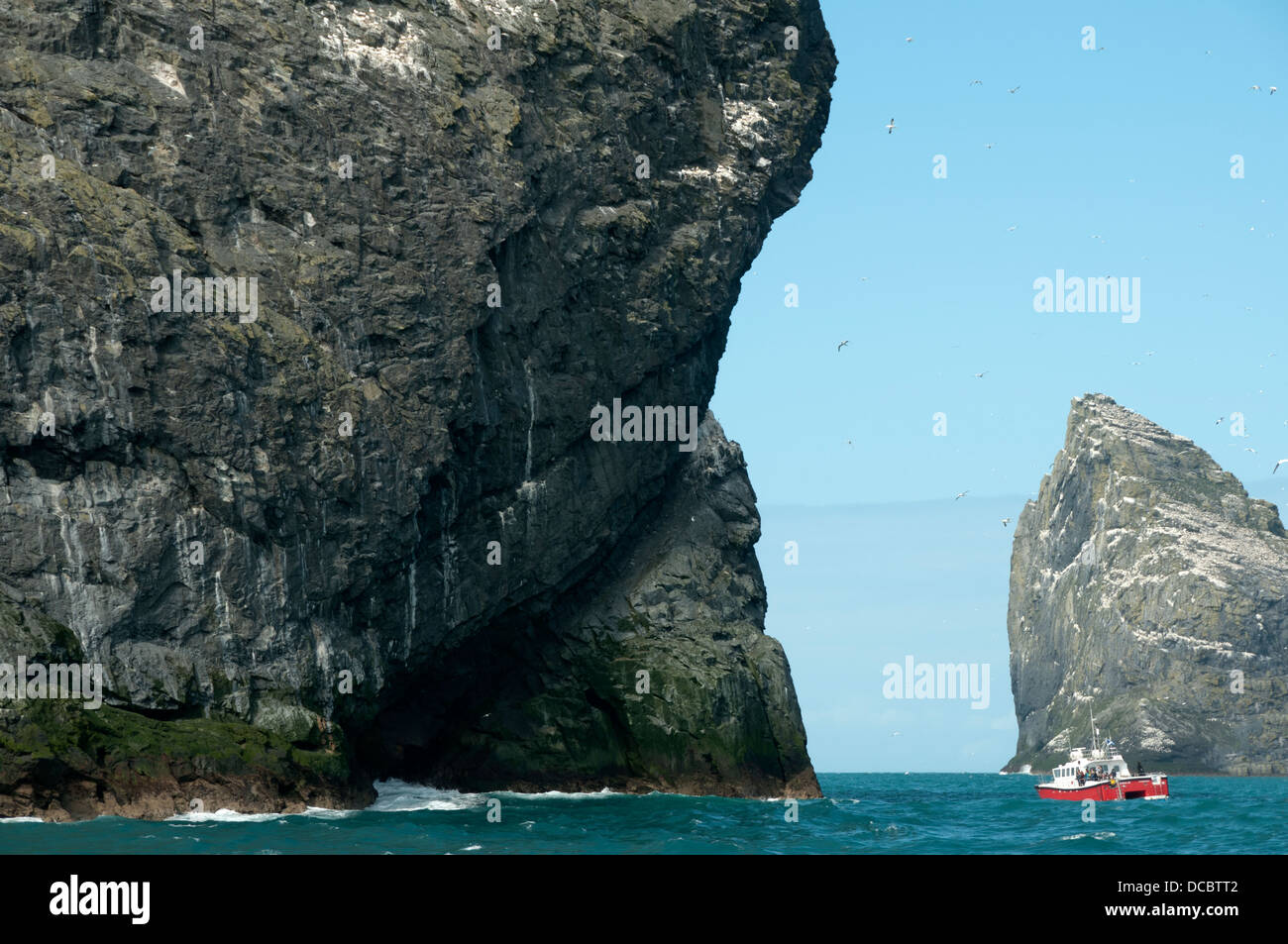 Tourist boat below Stac Lee, St Kilda archipelago, Outer Hebrides ...
