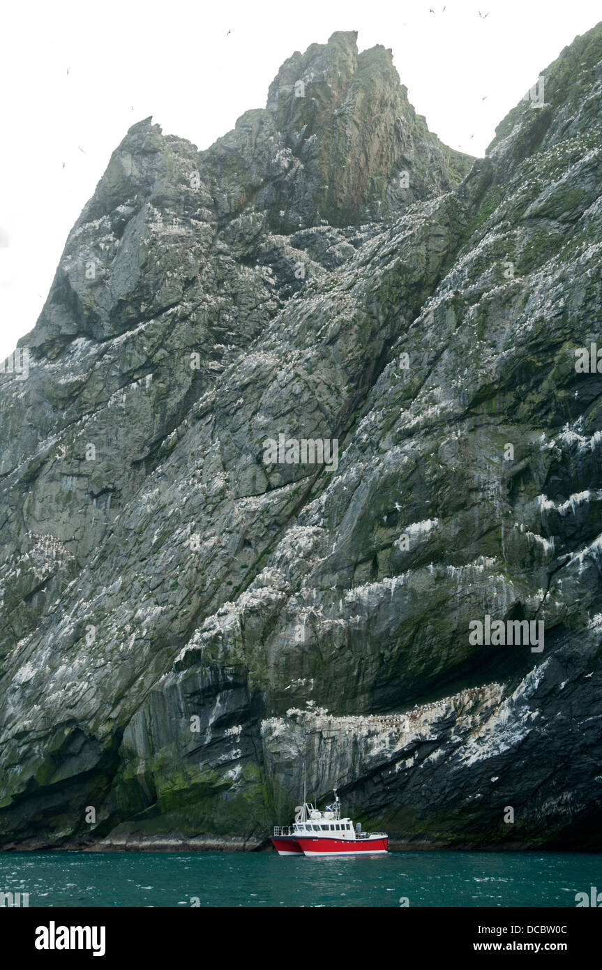Tourist boat below cliffs off the island of Boreray, St Kilda ...