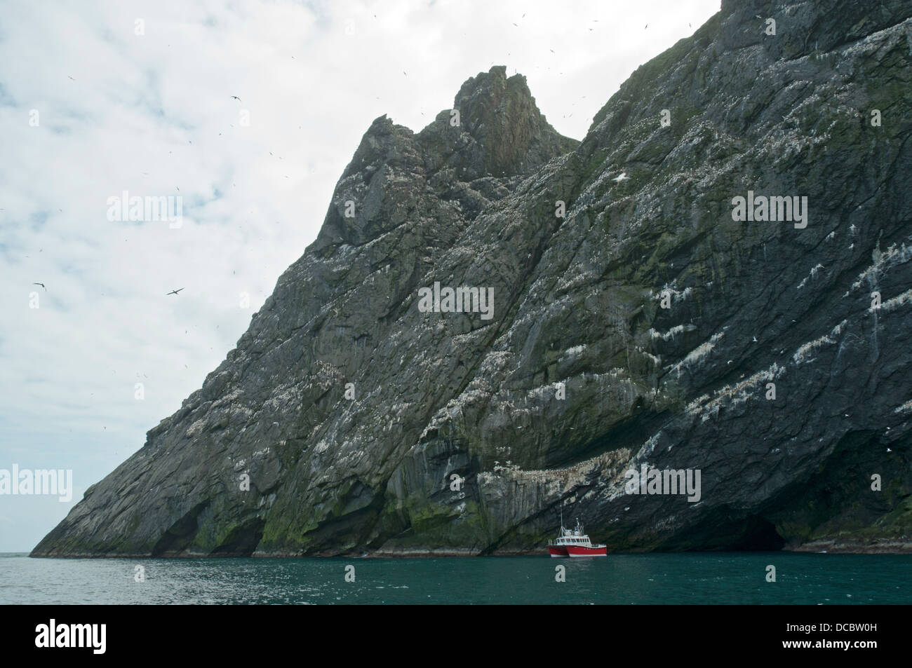 Tourist boat below cliffs off the island of Boreray, St Kilda ...