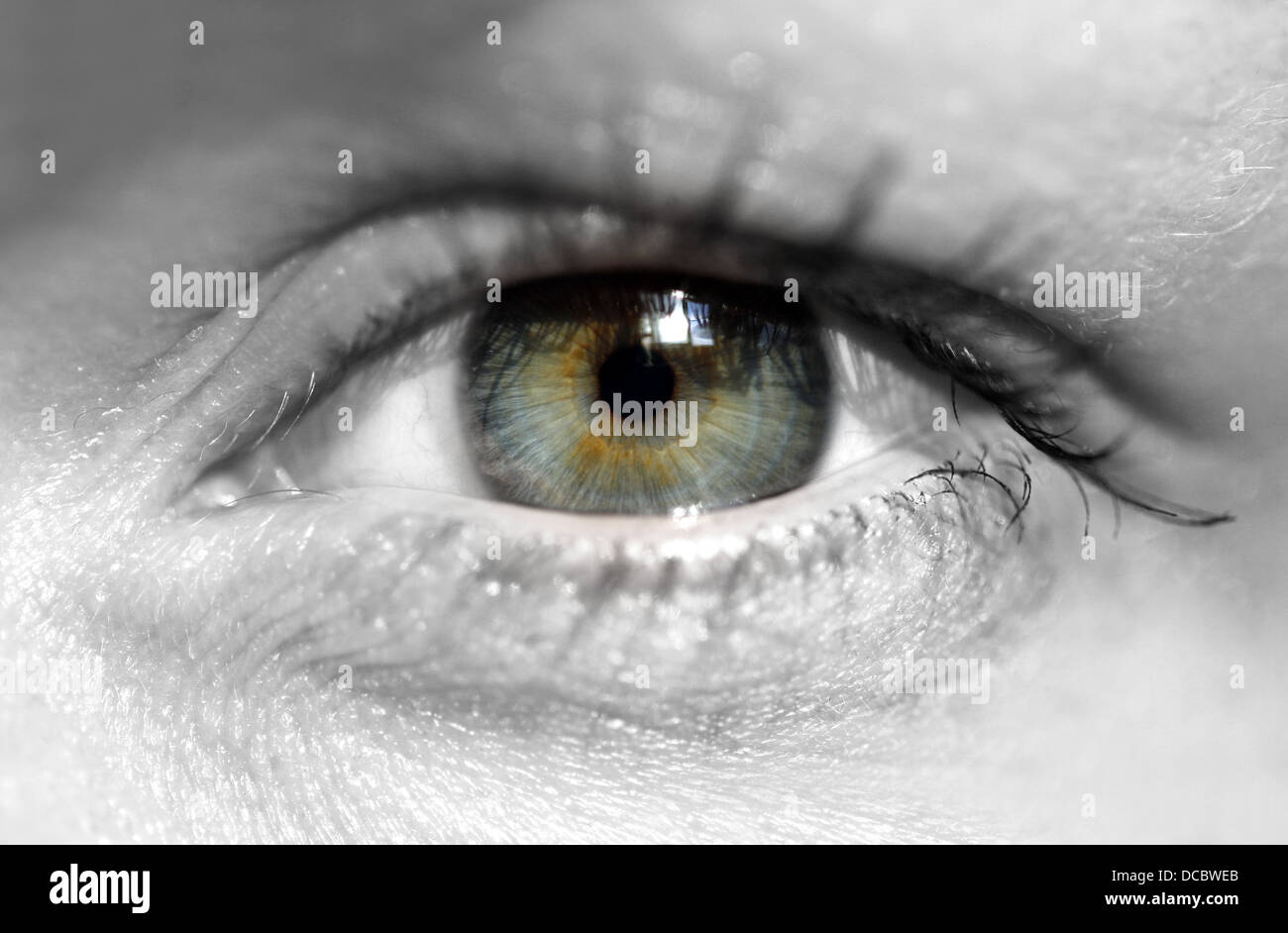 Abstract female eye hi-res stock photography and images - Alamy