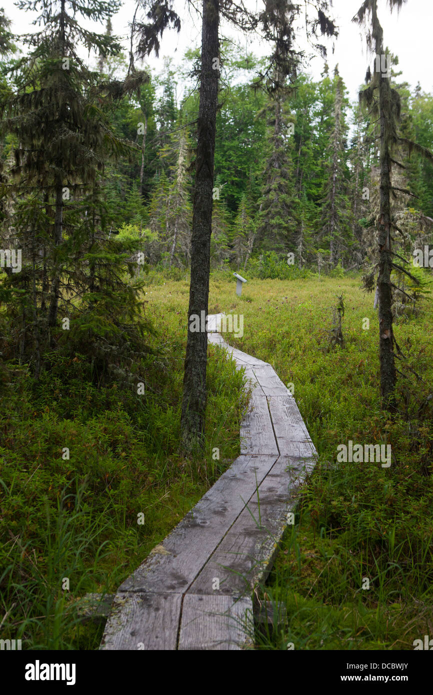 Wood plank trail hi-res stock photography and images - Alamy