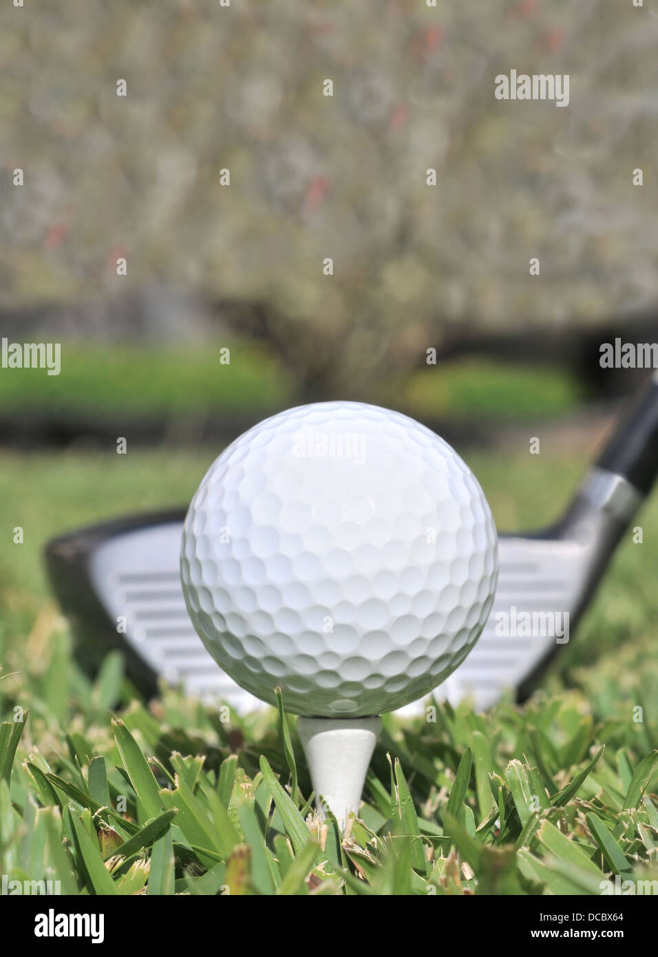 Golf Ball and Driver Stock Photo - Alamy
