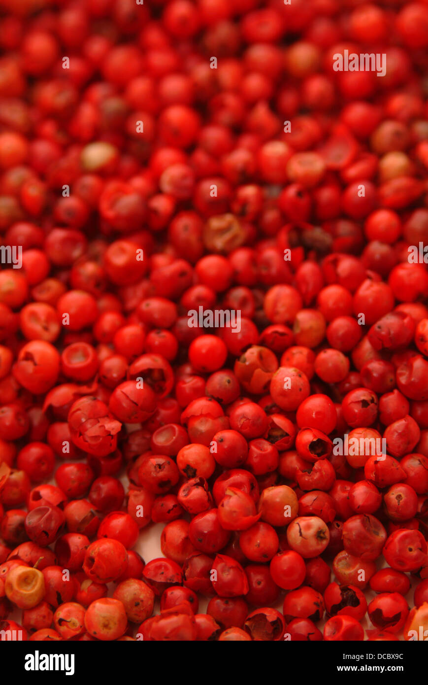 pepper hot red ground Stock Photo - Alamy