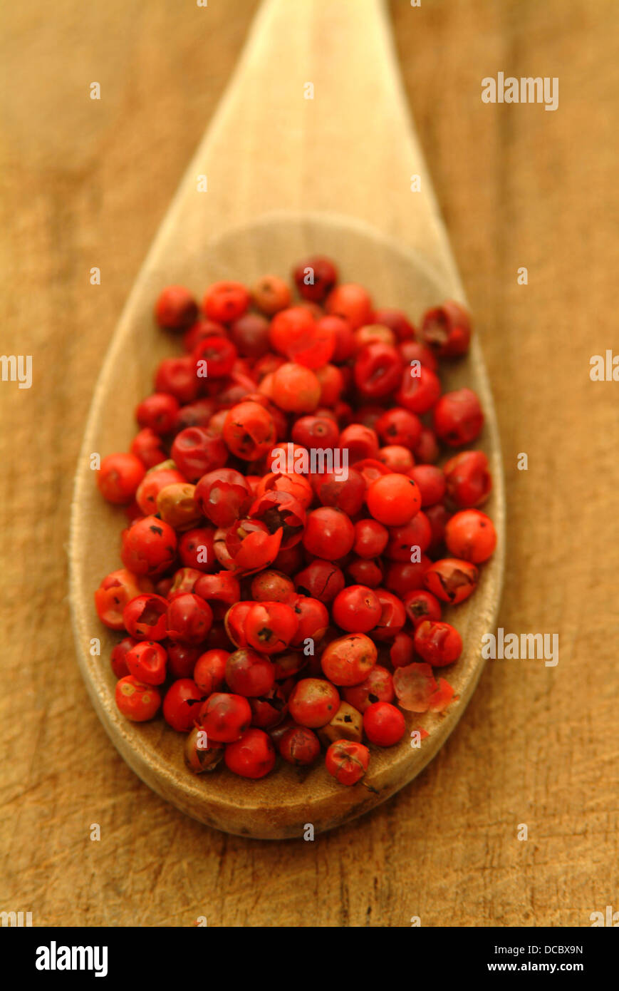 pepper hot red ground Stock Photo - Alamy