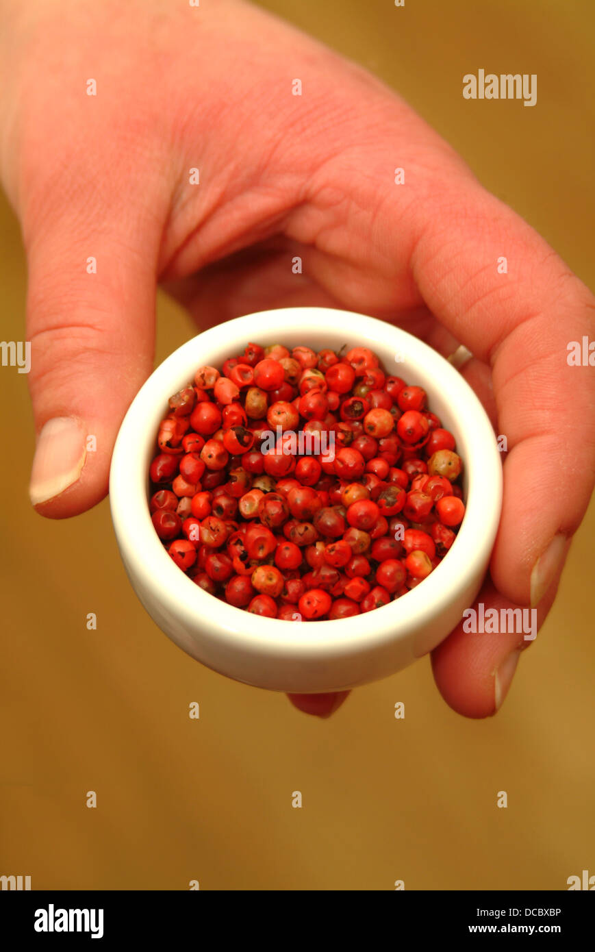 pepper hot red ground Stock Photo - Alamy