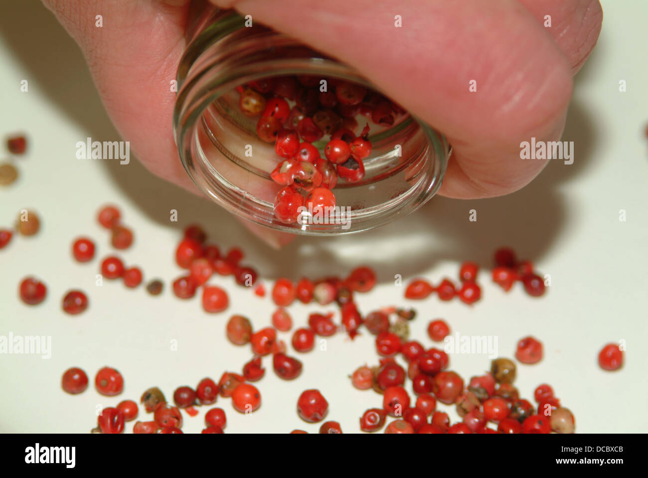 pepper hot red ground Stock Photo - Alamy