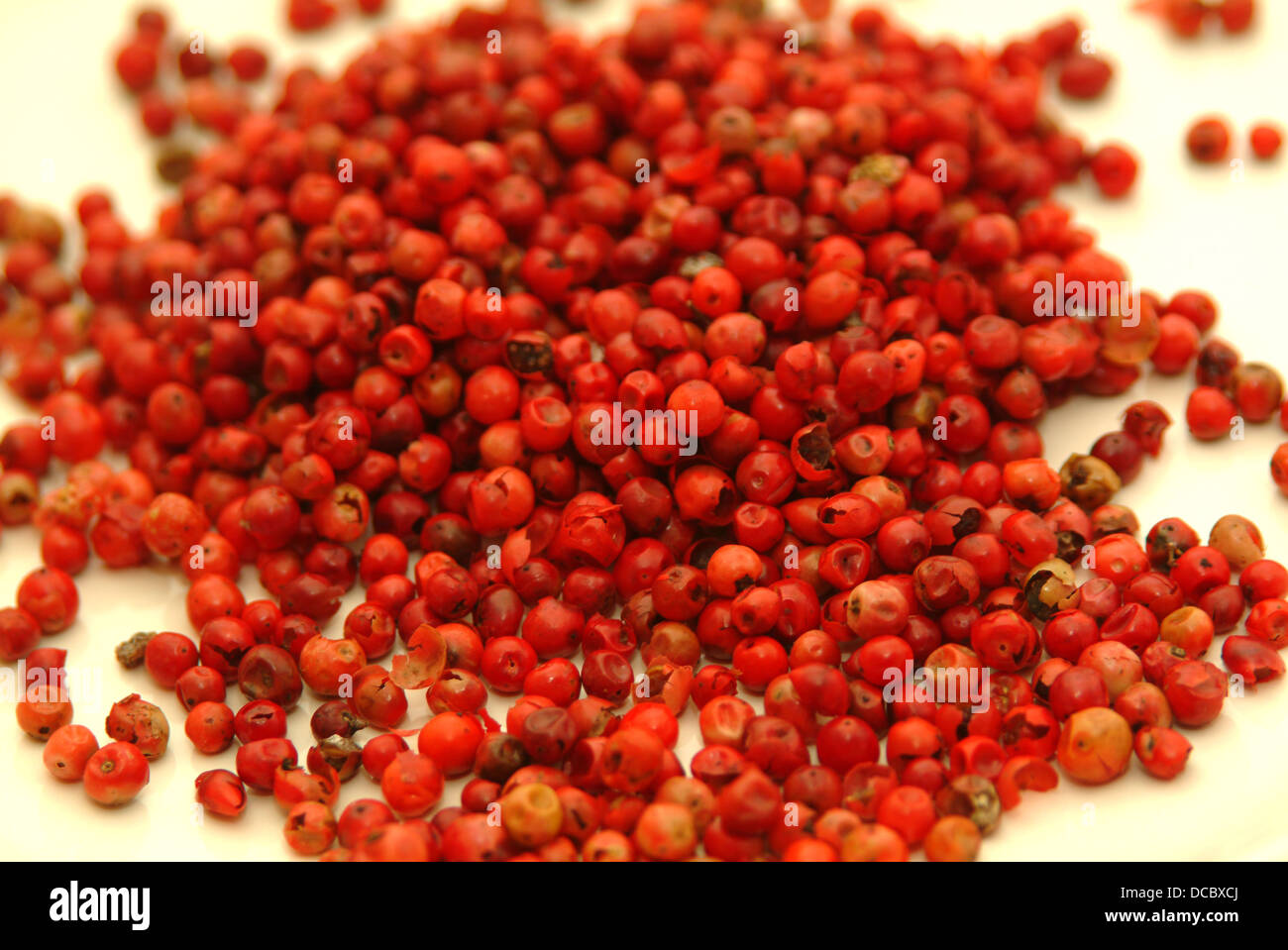 pepper hot red ground Stock Photo - Alamy