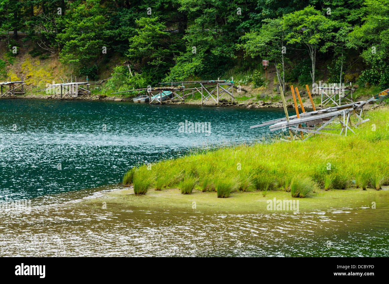 Cook Washington. Little White Salmon National Fish Hatchery Native ...