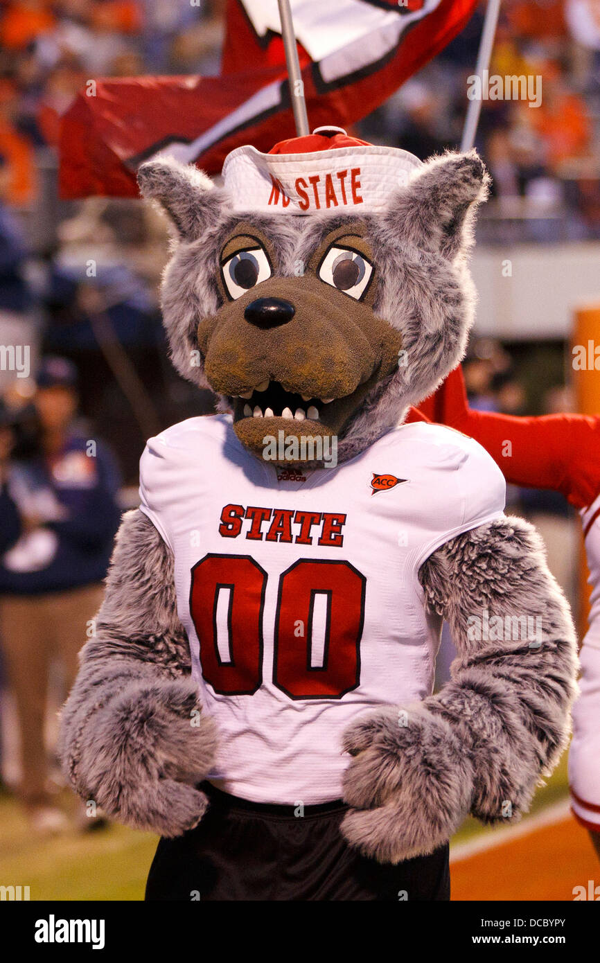 The North Carolina State Wolfpack celebrates after his team scored a ...