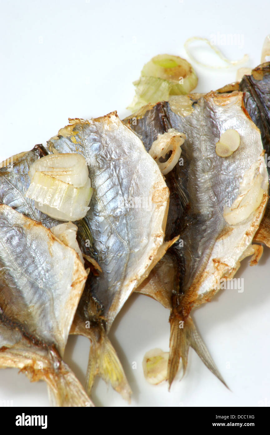 Fish with yellow stripe hi-res stock photography and images - Alamy