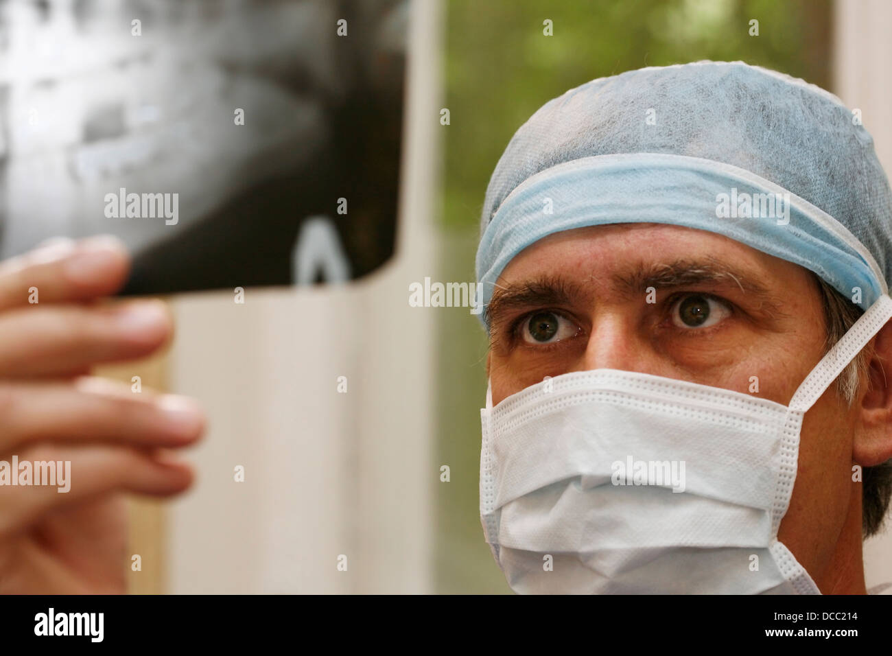 Doctor with x-ray Stock Photo - Alamy