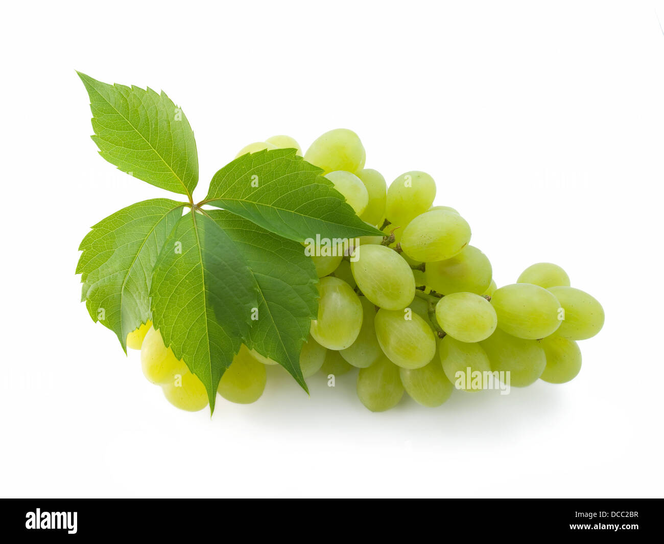 bunch of fresh grapes with leaf isolated on white Stock Photo - Alamy