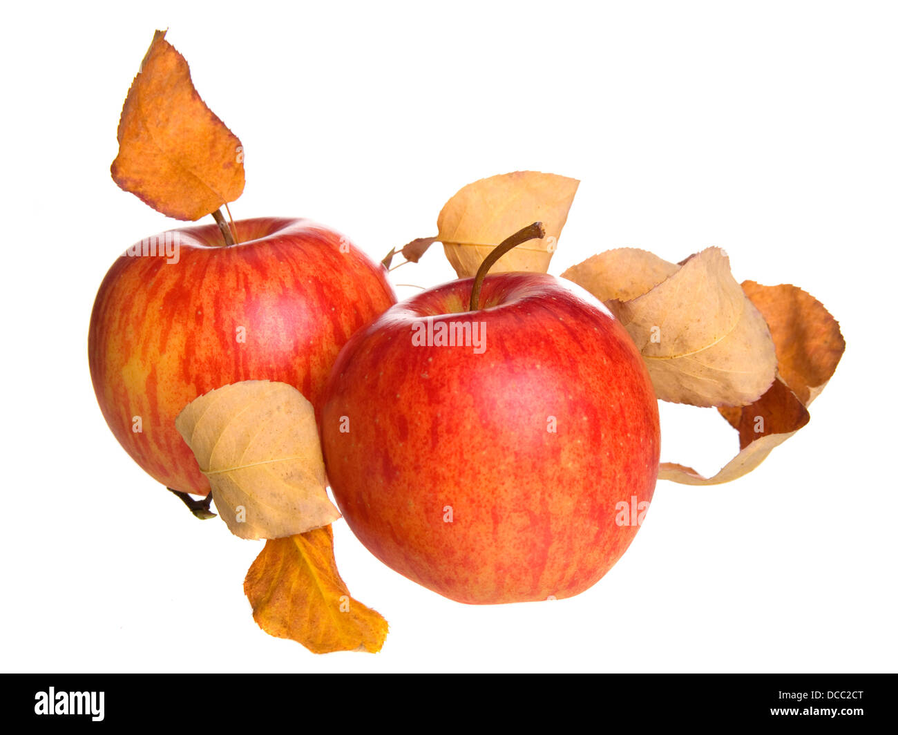 two apple on white background Stock Photo - Alamy