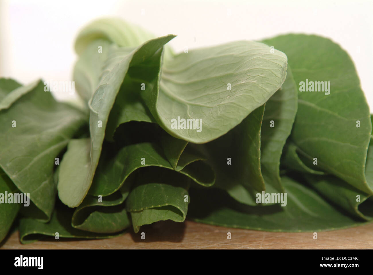 Pak choi vegetable Stock Photo - Alamy