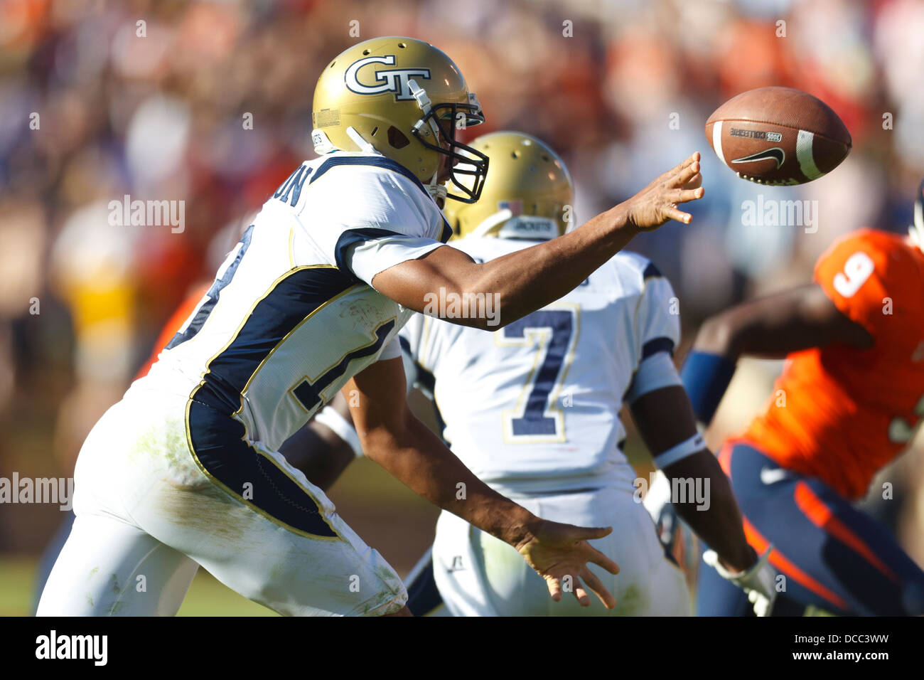 Yellow jackets hi-res stock photography and images - Alamy
