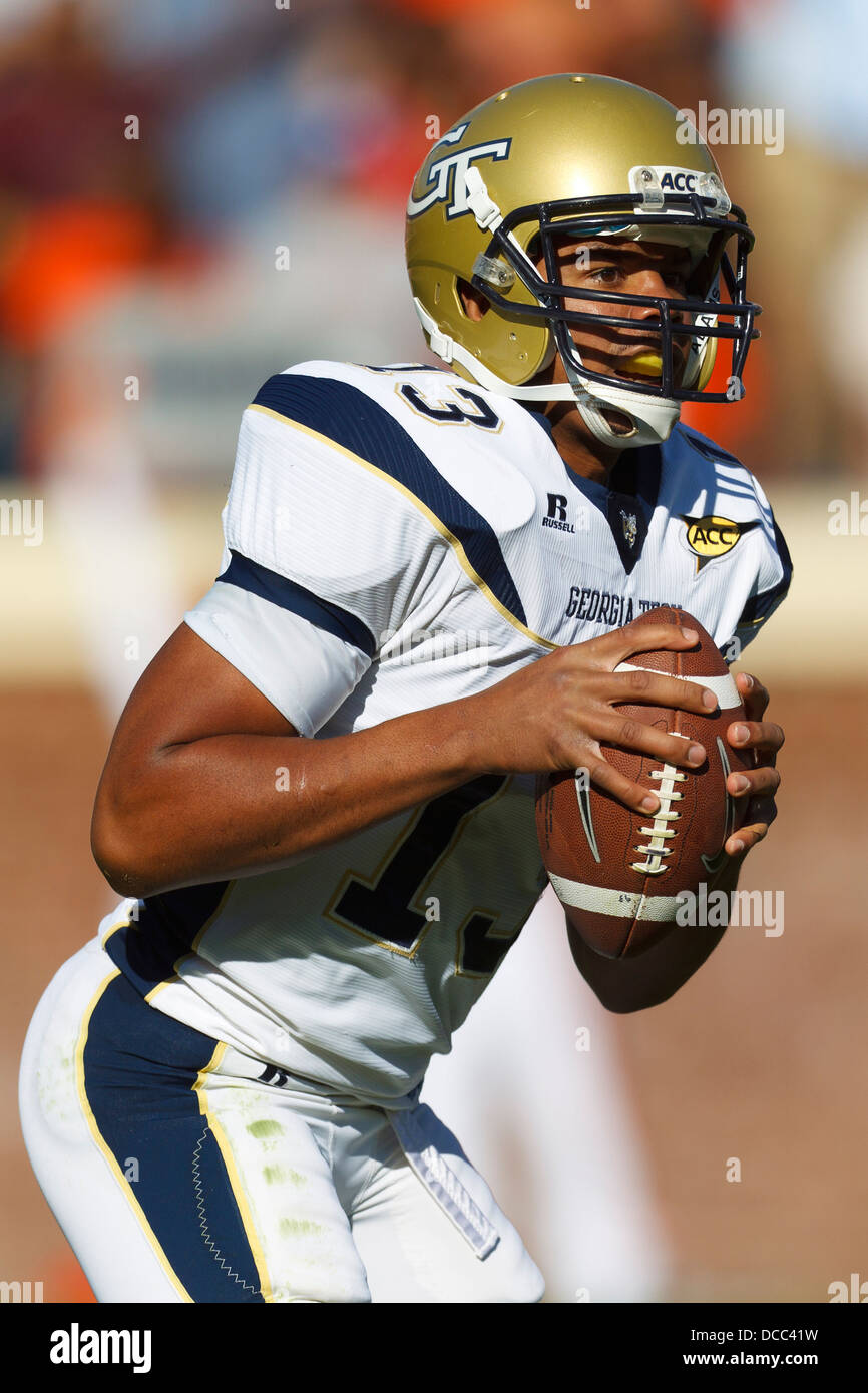 Yellow jackets hi-res stock photography and images - Alamy