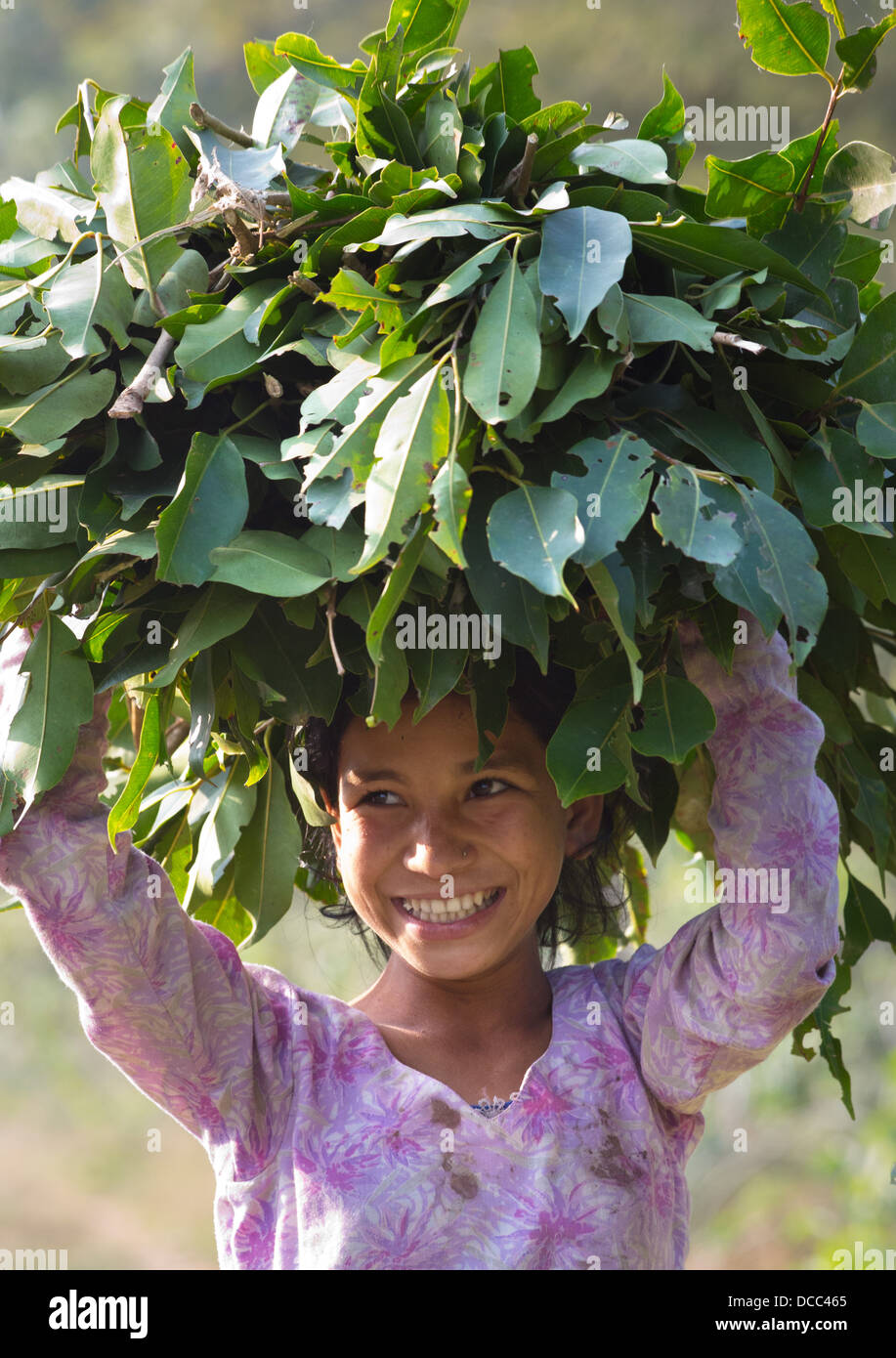 Nepal farming hi-res stock photography and images - Alamy