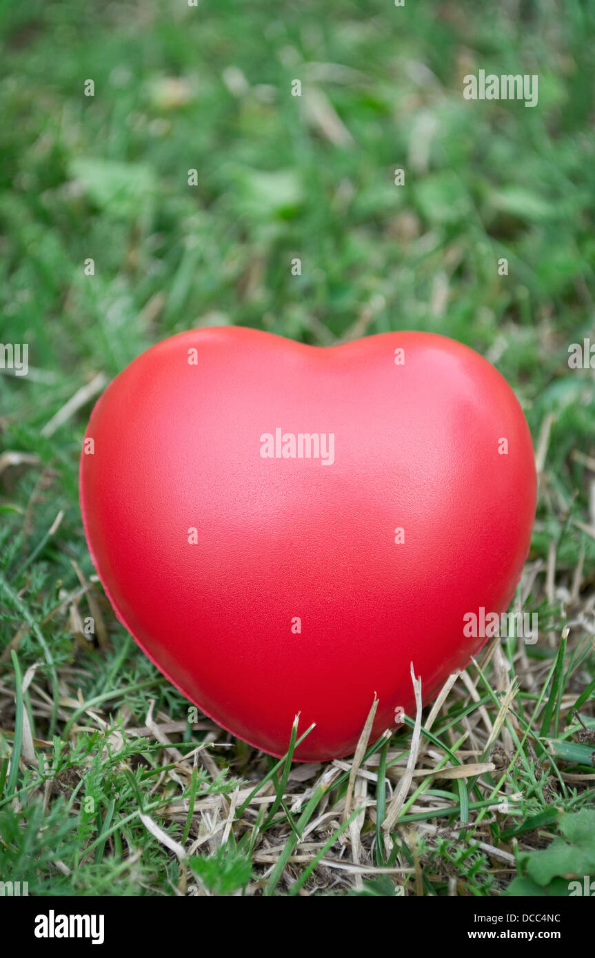 Red heart on grass Stock Photo - Alamy
