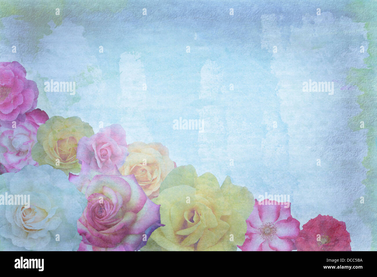 Roses on grunge background with blue tint Stock Photo - Alamy