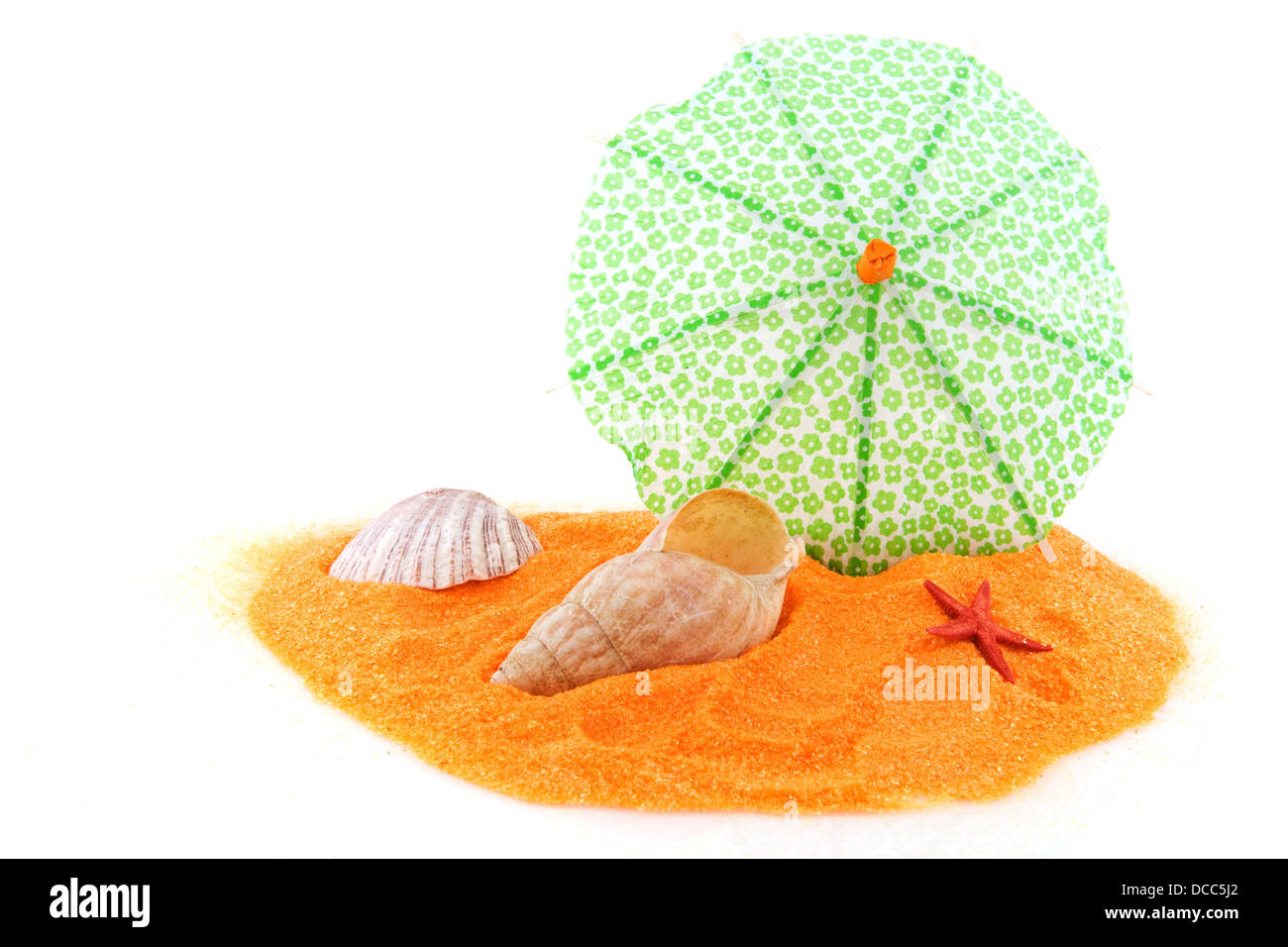 Colorful shells Cut Out Stock Images & Pictures - Alamy