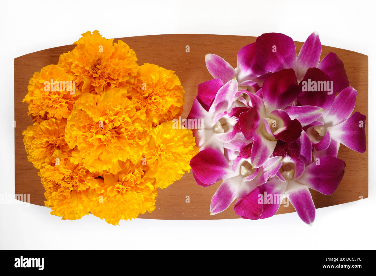 Violet marigold flower hi-res stock photography and images - Alamy