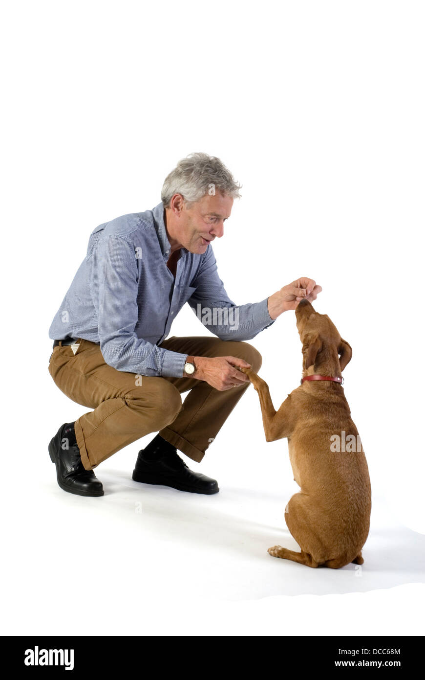 Obedience Cut Out Stock Images & Pictures - Alamy