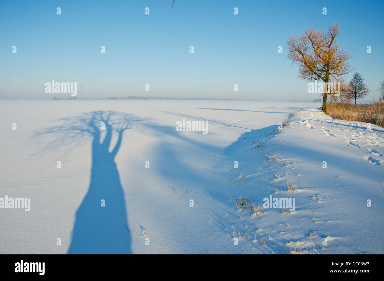 beautiful midwinter morning landscape with tree shadow on snow Stock ...