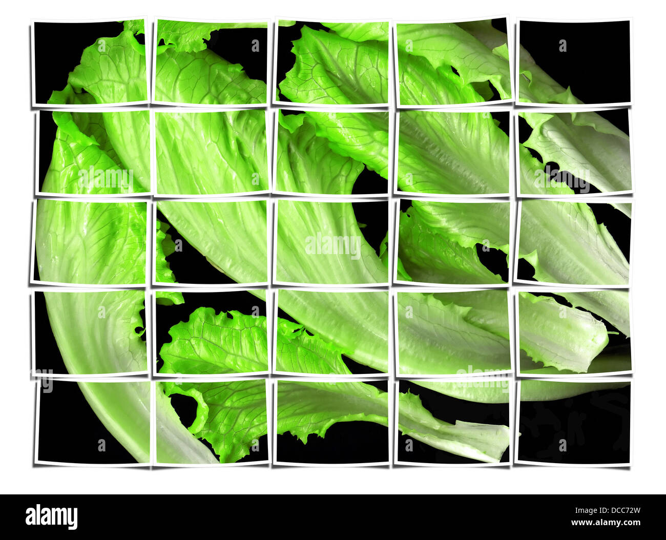 lettuce leaves collage Stock Photo - Alamy
