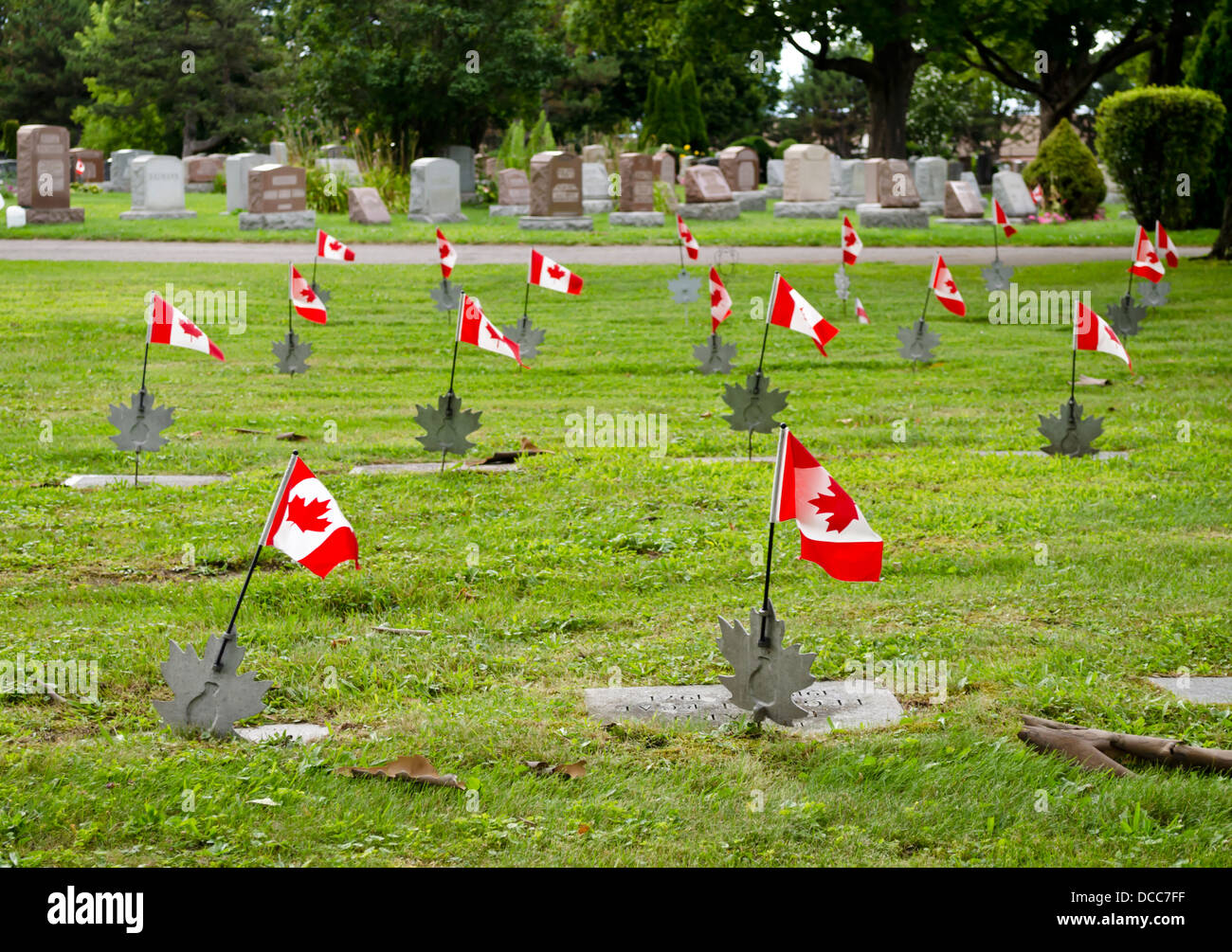 War veterans cemetary with Canadian flags in St. Catharines, Ontario, Canada Stock Photo - Alamy