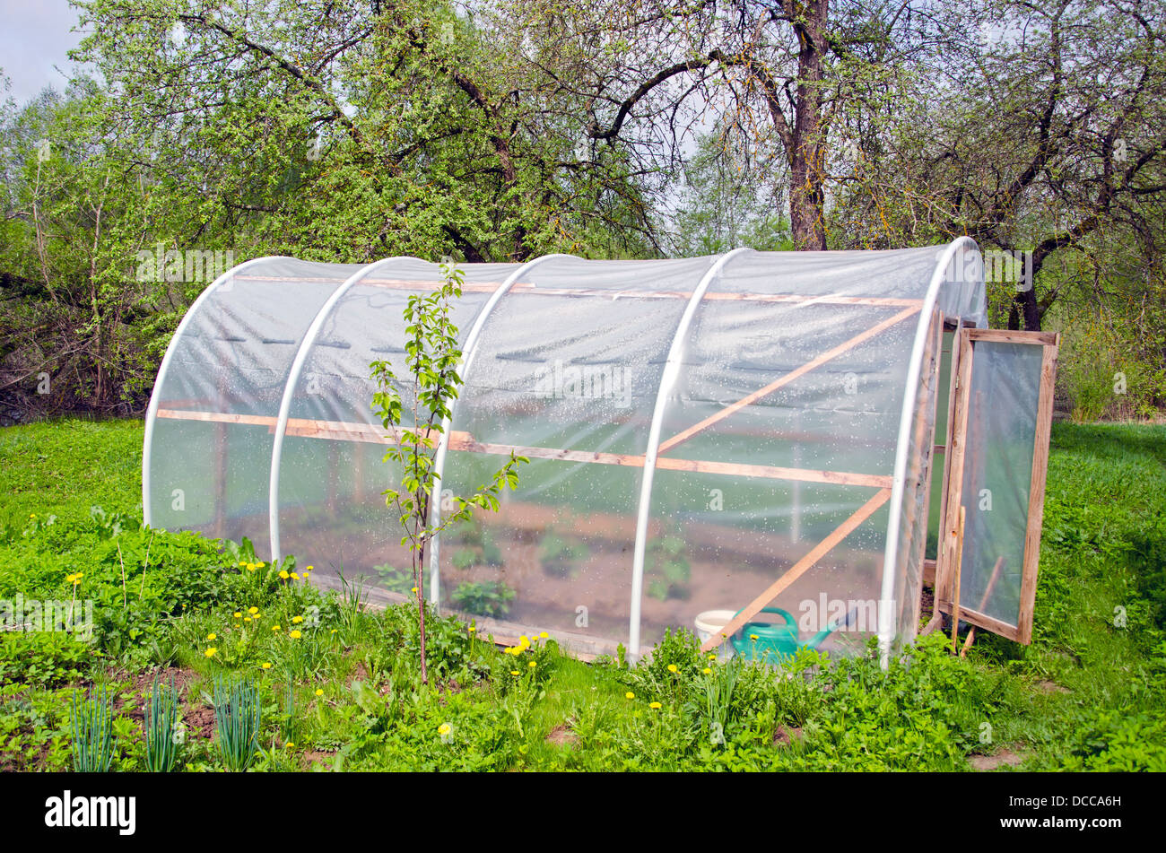 primitive plastic greenhouse in farm spring time garden Stock Photo - Alamy