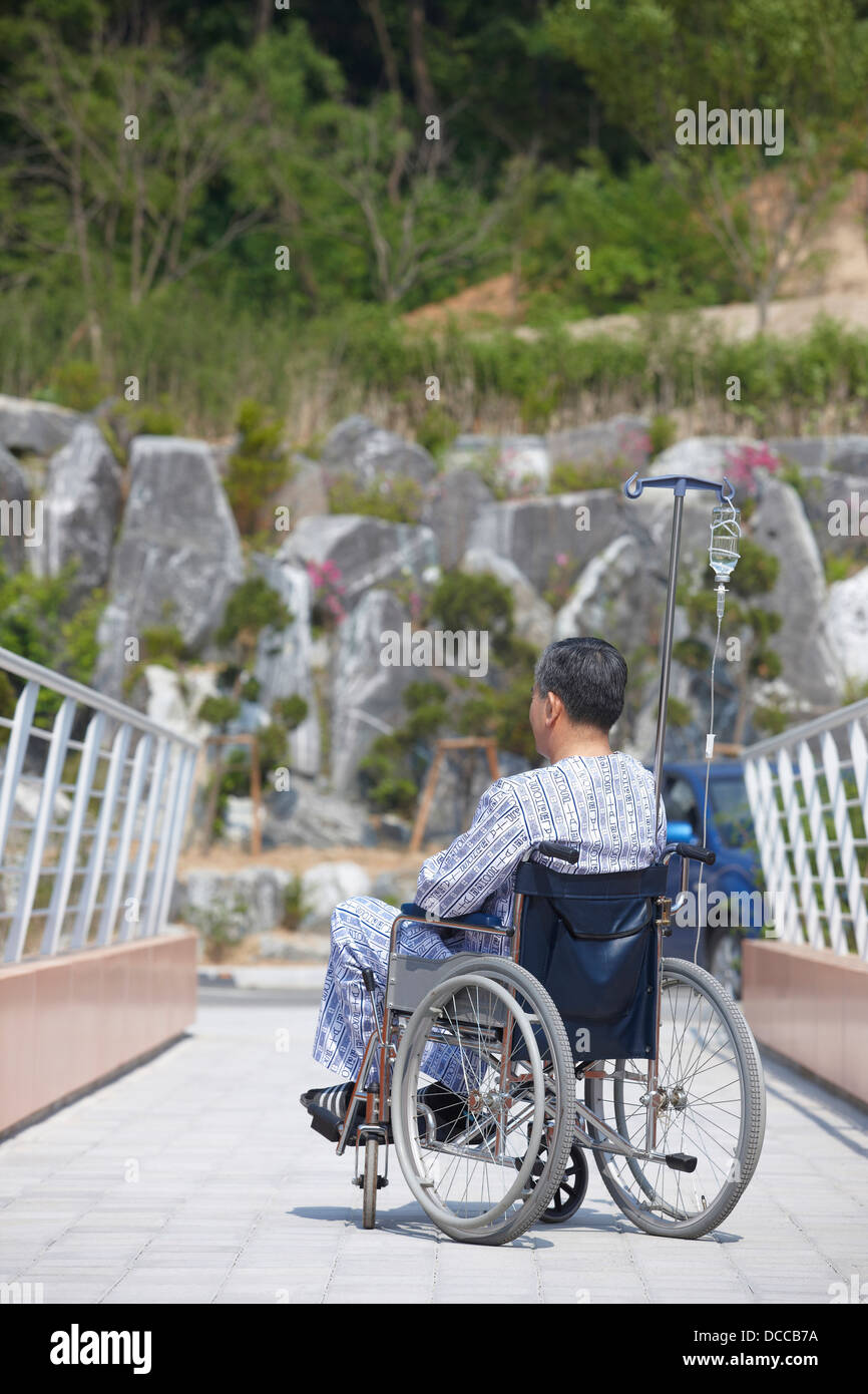 back shot of a patent sitting on a wheel chair Stock Photo - Alamy