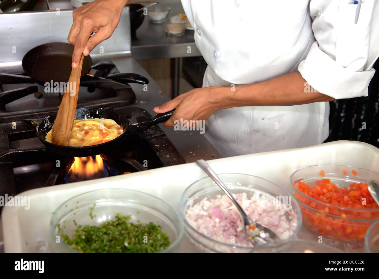 Indian Hotel Cook Chef