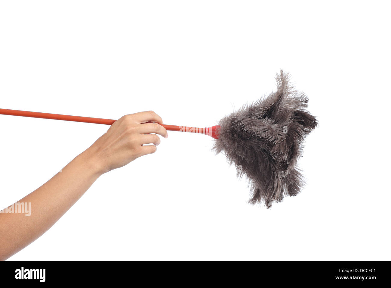Woman hand holding a duster clean isolated on a white background Stock ...