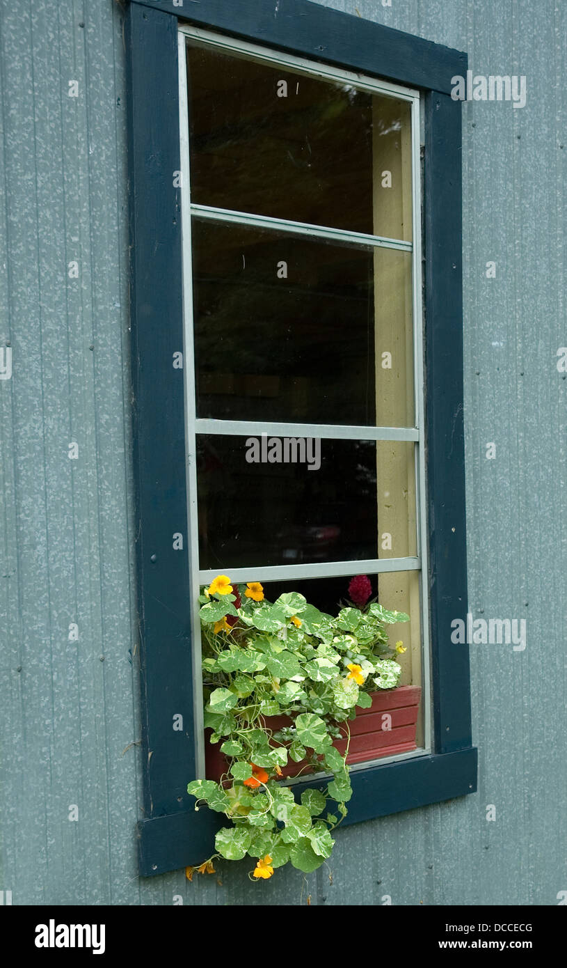 Barn wall window hi-res stock photography and images - Alamy