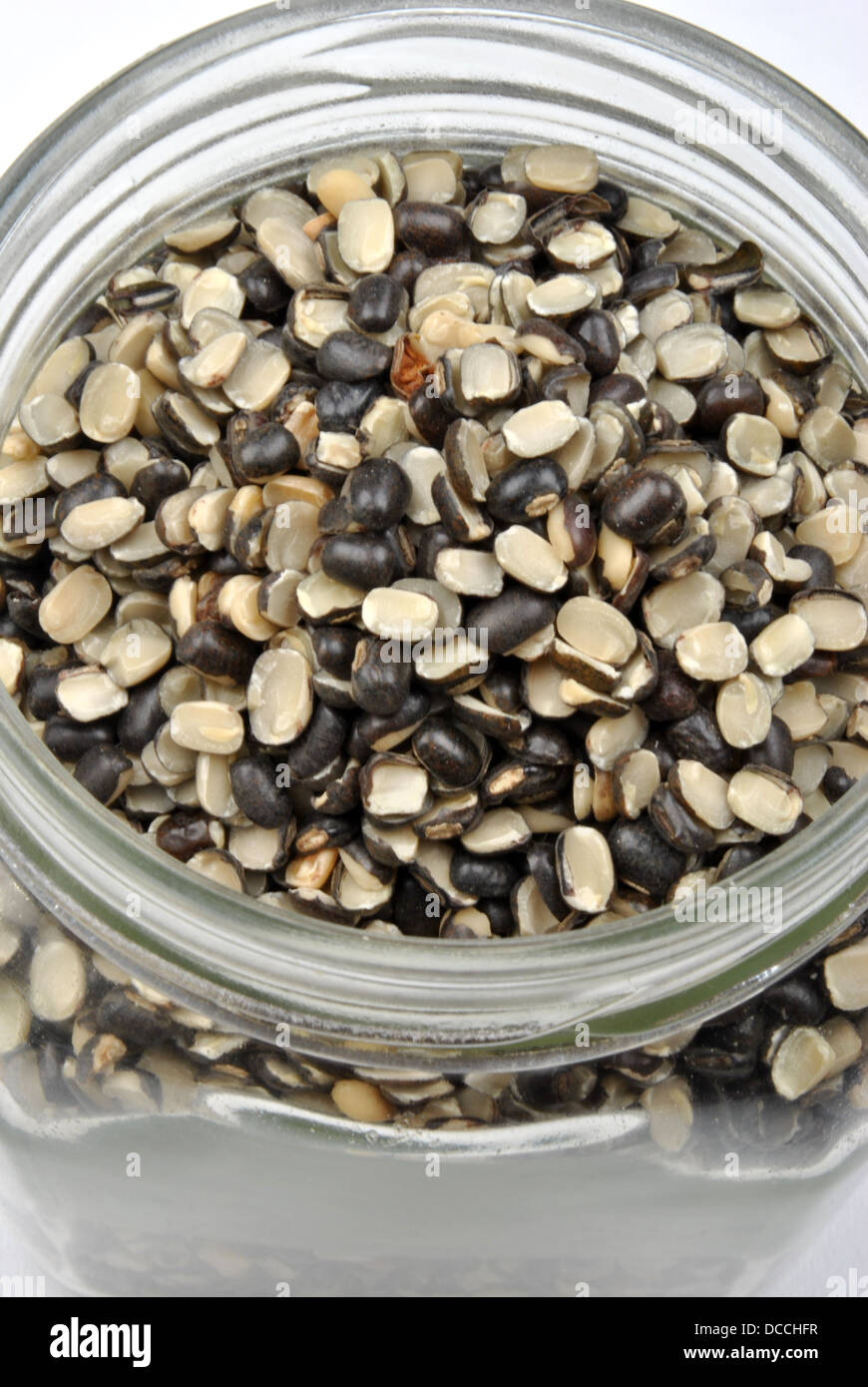 urid dall chilka, organic dry split beans Stock Photo - Alamy