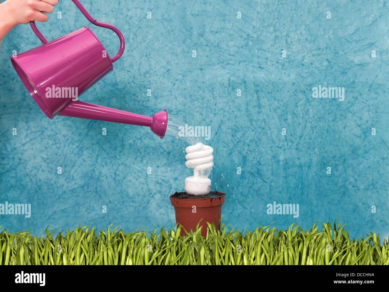 Low energy bulb Stock Photo - Alamy