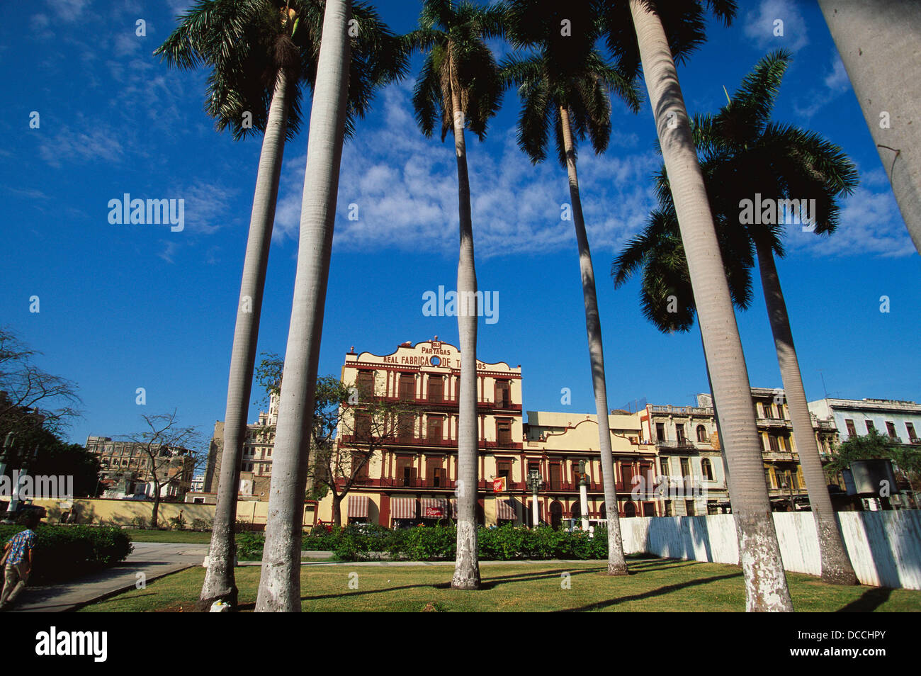 Partagas cigars factory hi-res stock photography and images - Alamy